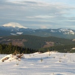 Larch Mountain (Clark County, Washington) Mountain Information
