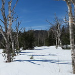 Mount Isolation Mountain Information