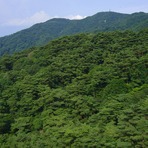 Mount Rokkō Mountain Information